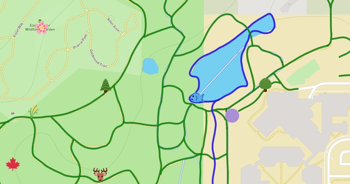 School forest : Scribble Maps