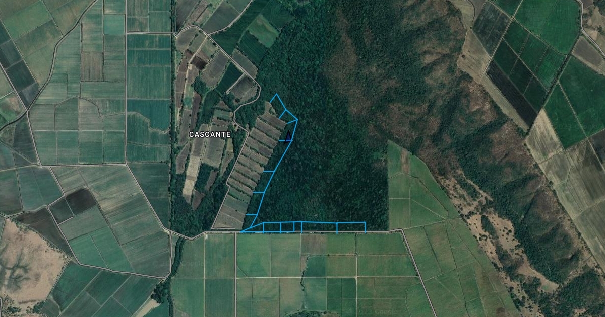 tenori forest edge : Scribble Maps