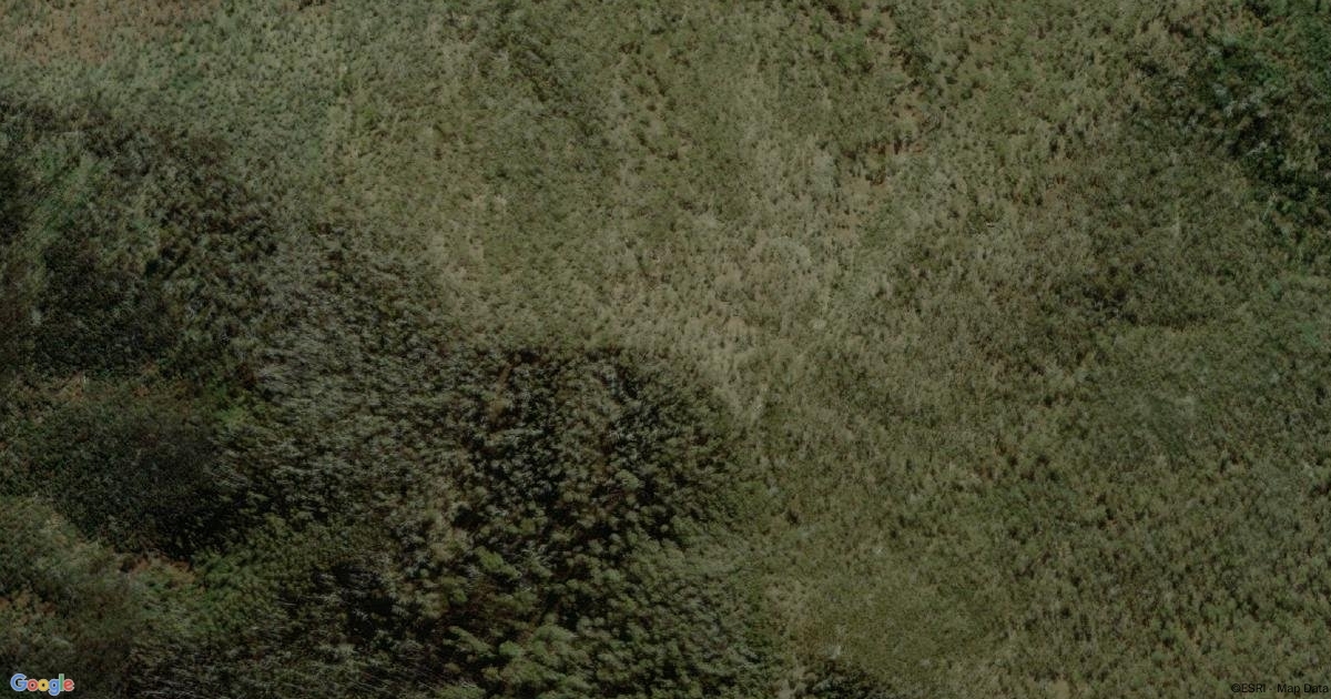 1500 metres elevation : Scribble Maps