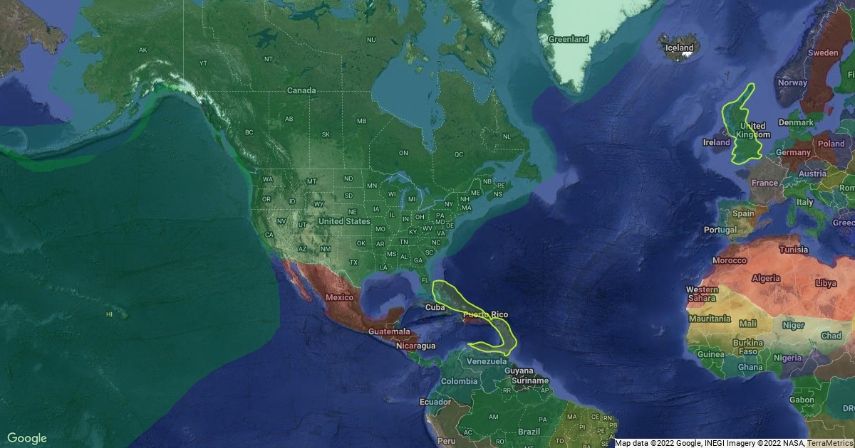 World Map : Scribble Maps