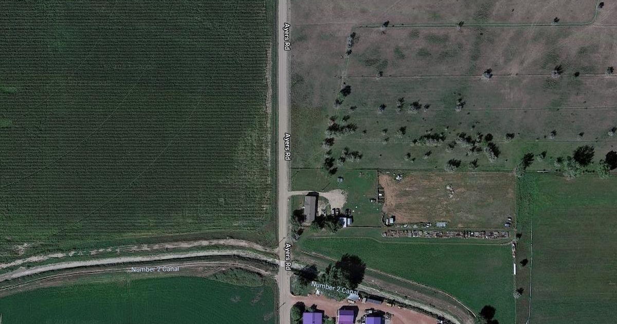 plant id : Scribble Maps