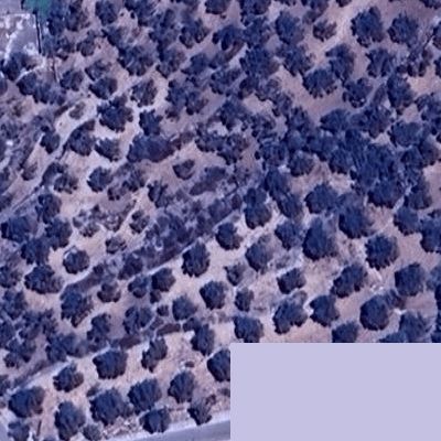 Draw On Maps and Make Them Easily