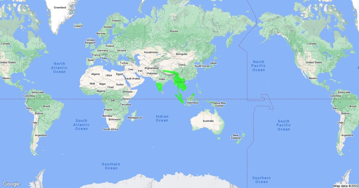 Asian Elephant Map : Scribble Maps