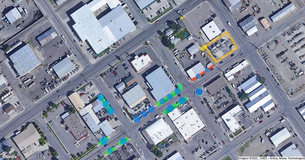 BirdTrees : Scribble Maps