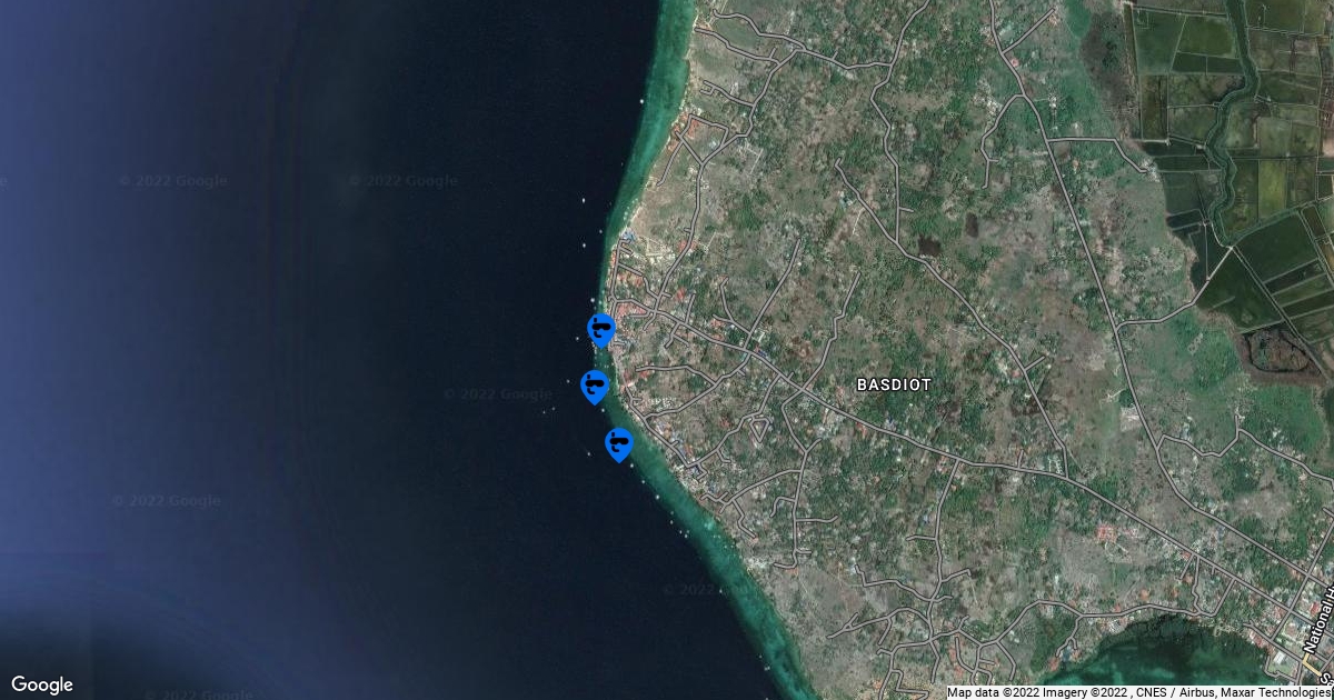 Snorkeling in Moalboal : Scribble Maps