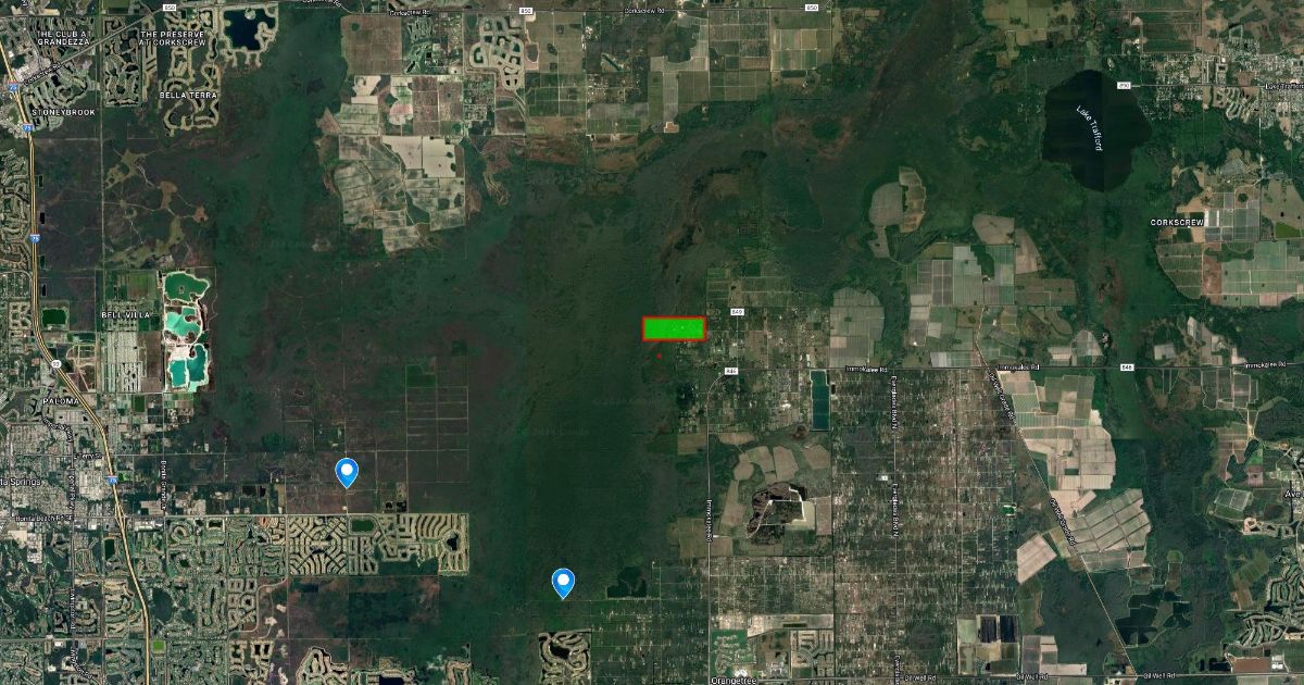 rack card : Scribble Maps