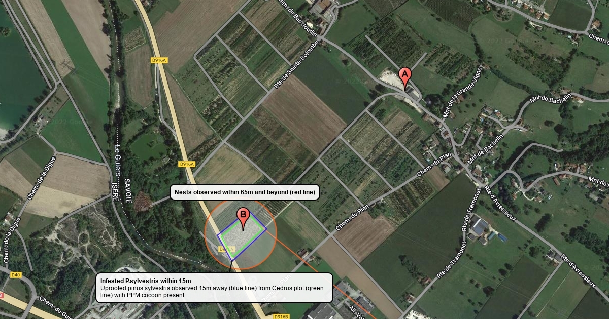 Cedar plot : Scribble Maps