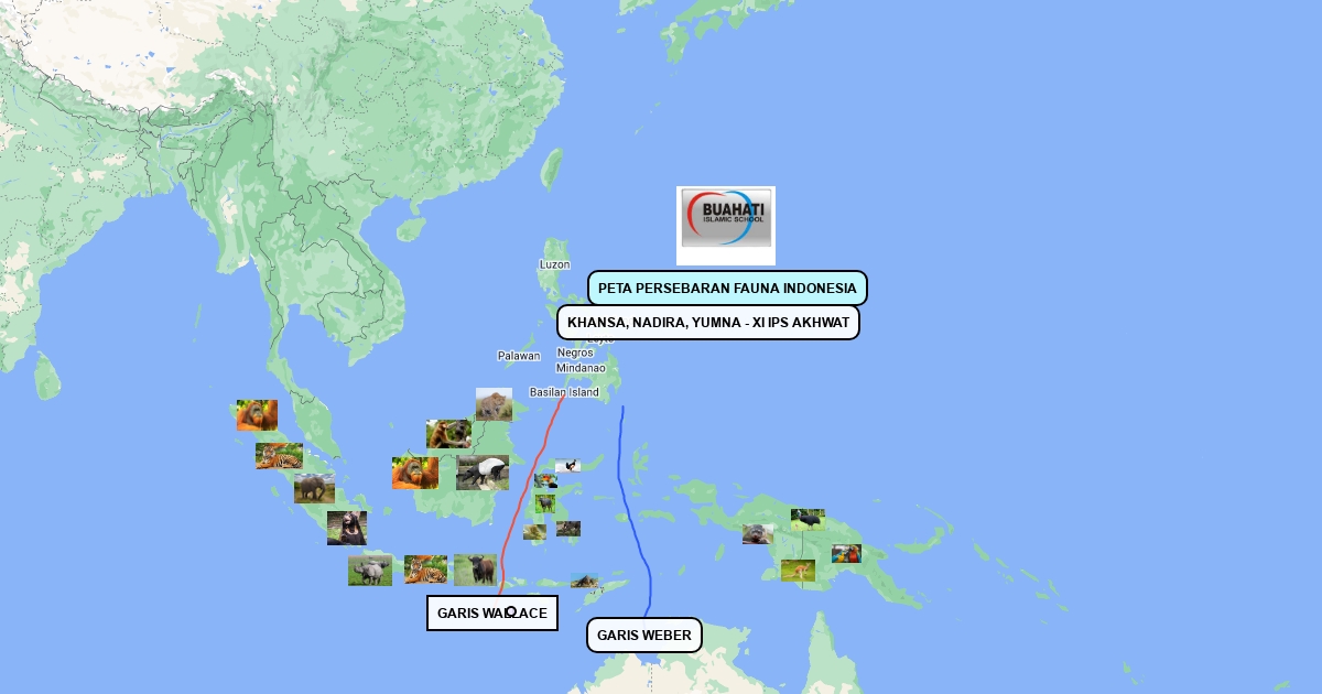 PETA PERSEBARAN FAUNA INDONESIA : Scribble Maps