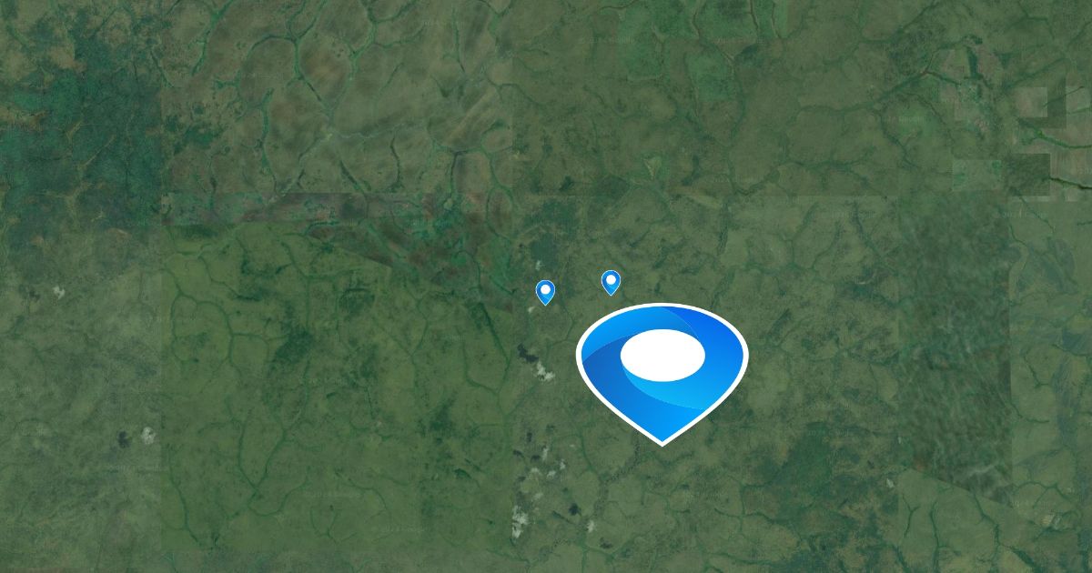 Carlota's amazing map of elephants : Scribble Maps