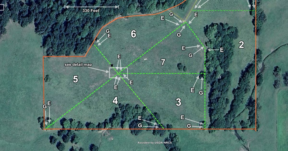 Joe Seymour - base paddock layout (copy) : Scribble Maps