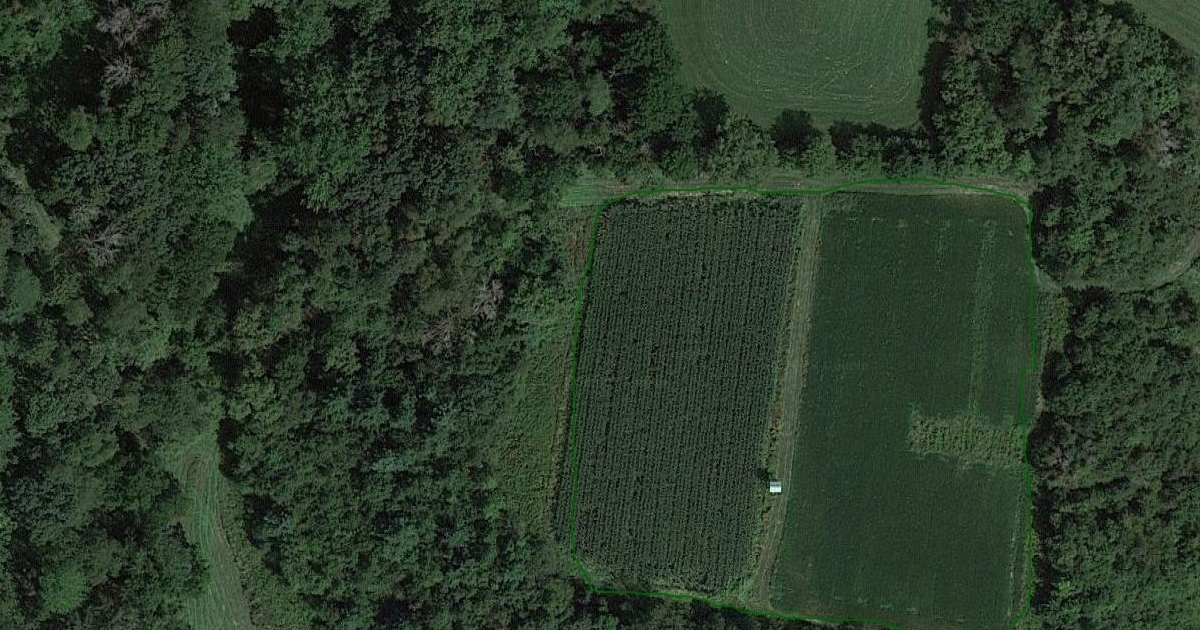 HOME FARM : Scribble Maps