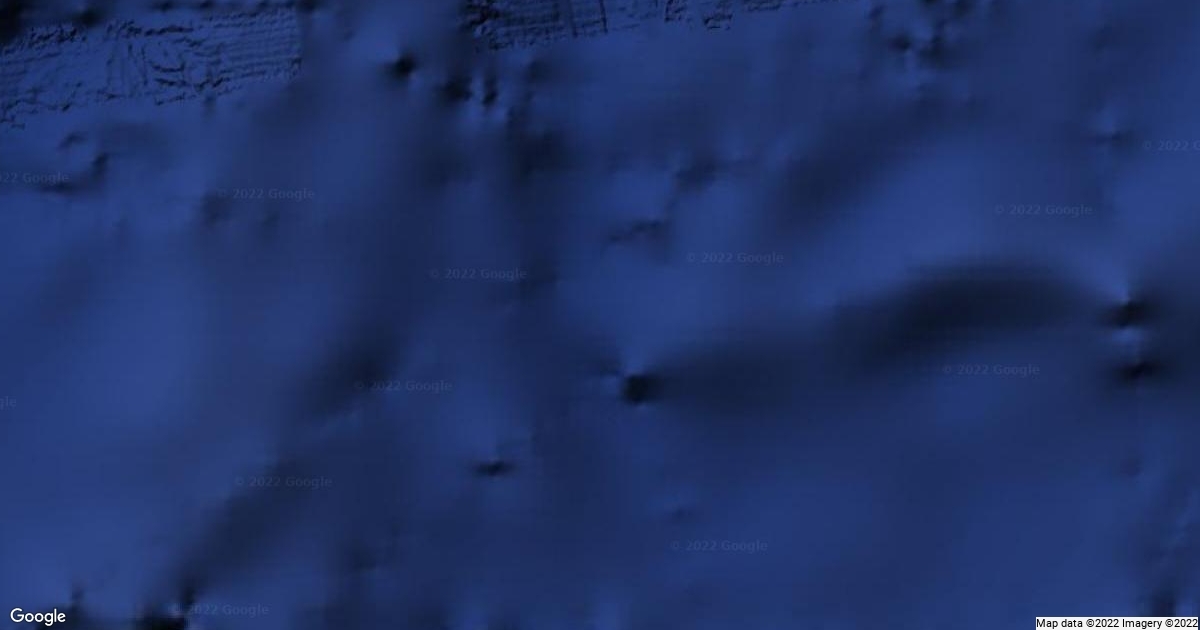 Hot Plants : Scribble Maps