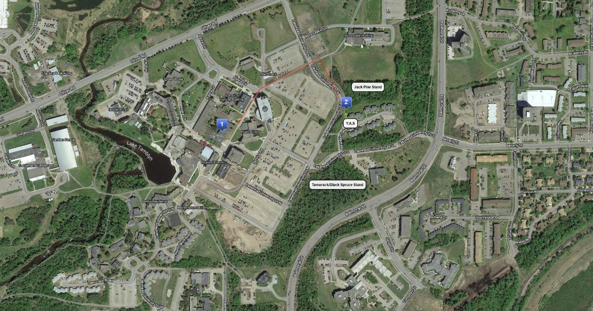 Map Of School Scribble Maps