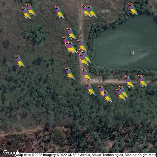 Scribble Maps : Maps