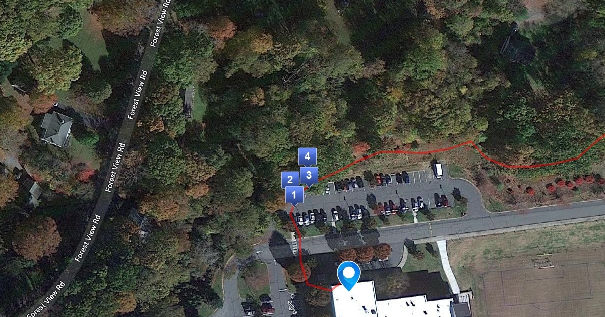 Tree Map : Scribble Maps