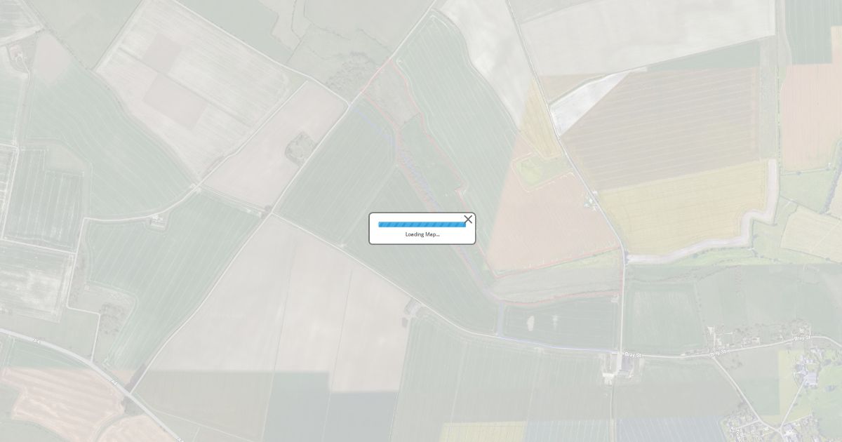 Library Programs : Scribble Maps