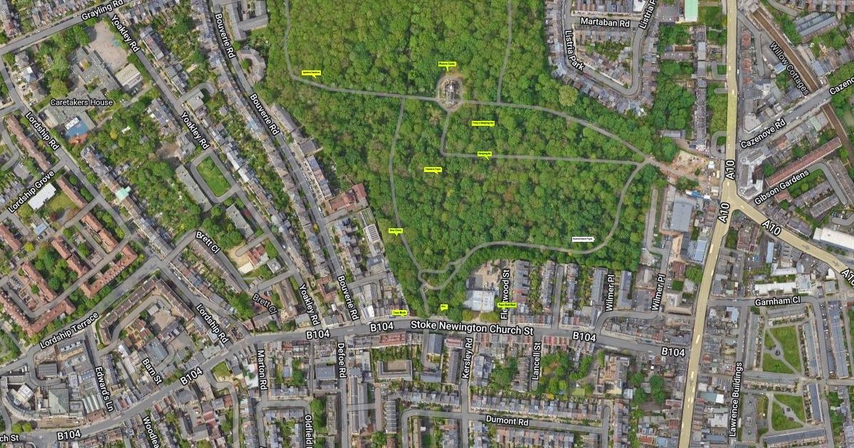 Trees of Stamford Hill : Scribble Maps