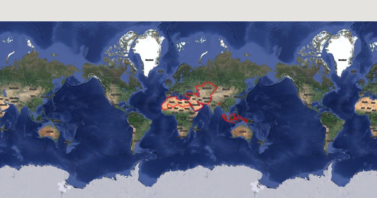 Islamic countries : Scribble Maps