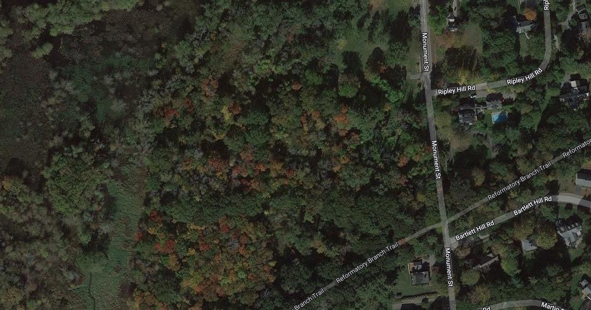 The American Revolution : Scribble Maps