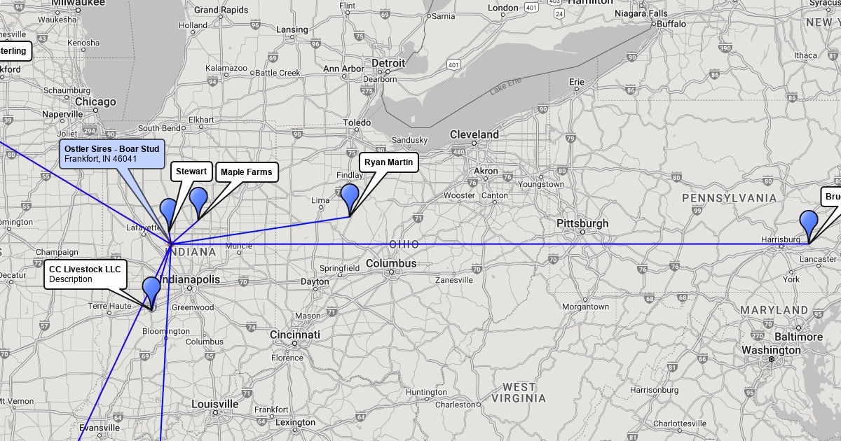Ostler Sires - Boar Stud : Scribble Maps