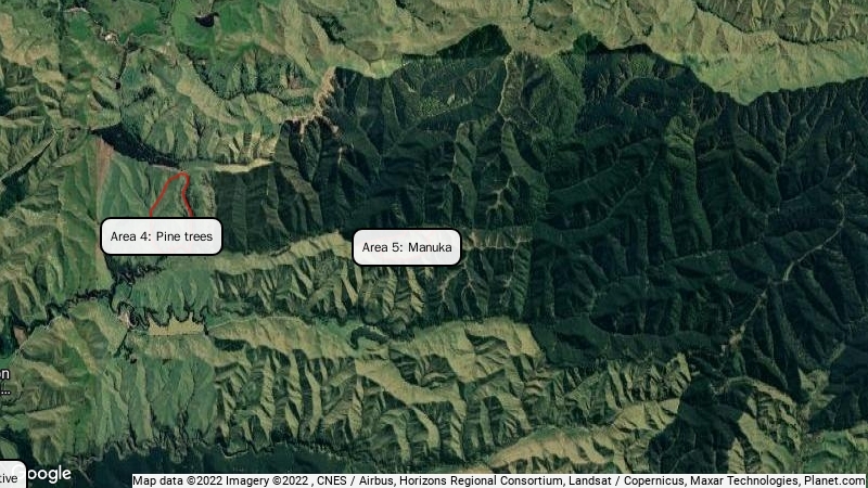 Planting Map : Scribble Maps