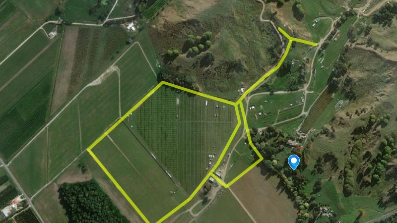 Rhythm and Vines spatial nature : Scribble Maps