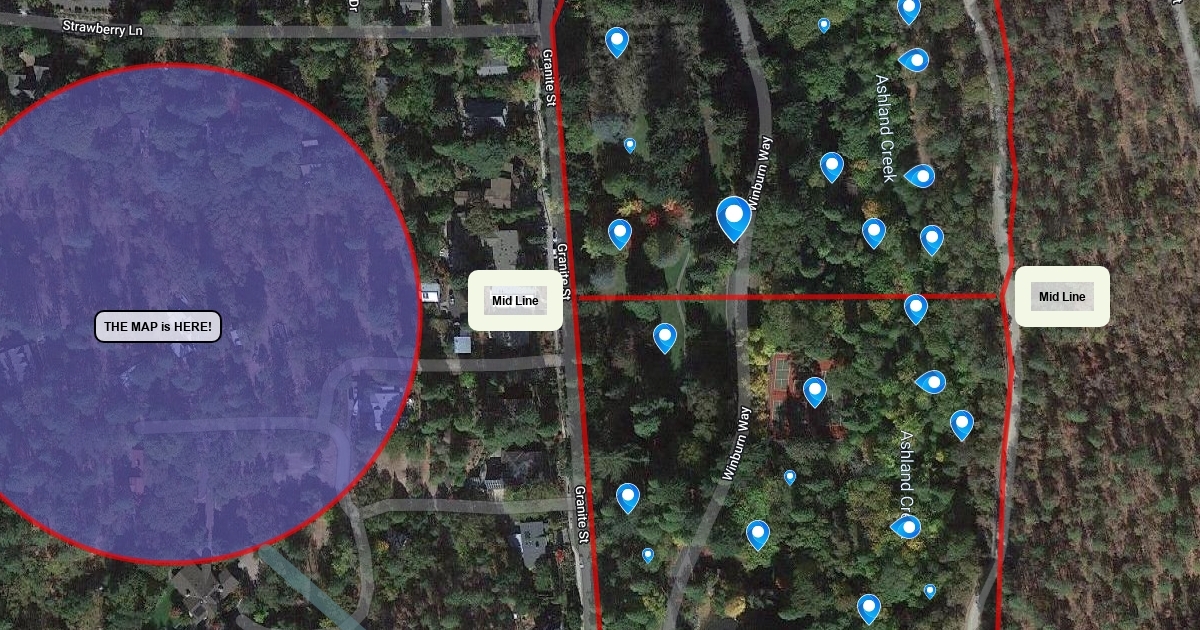 The MAP : Scribble Maps