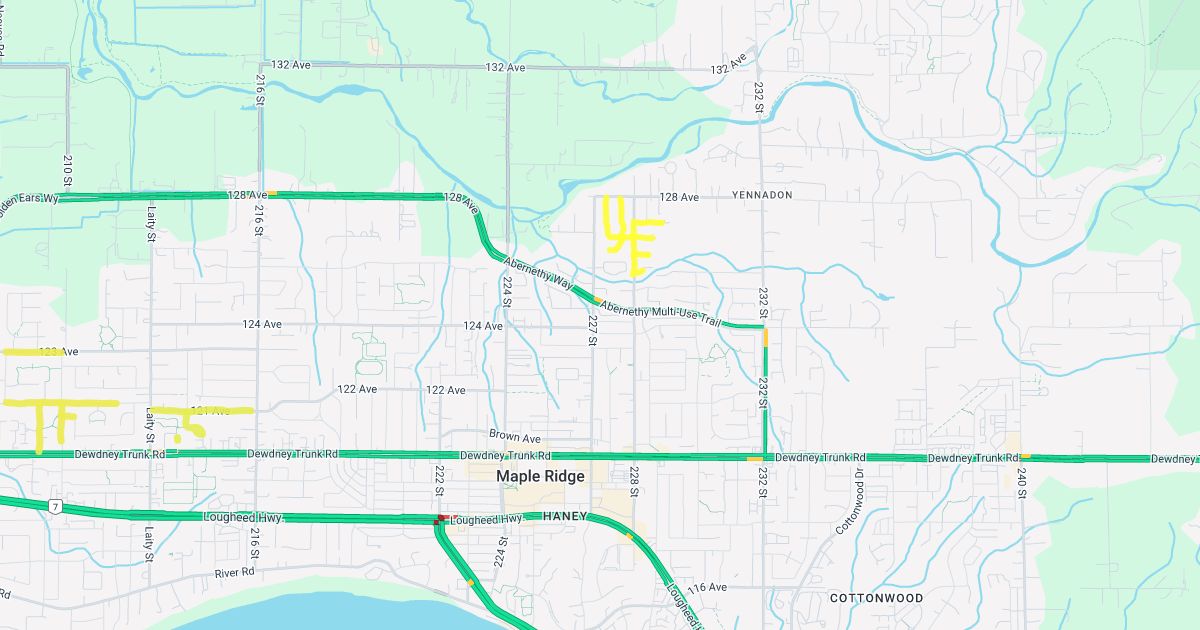 Yellow Fish Painting : Scribble Maps