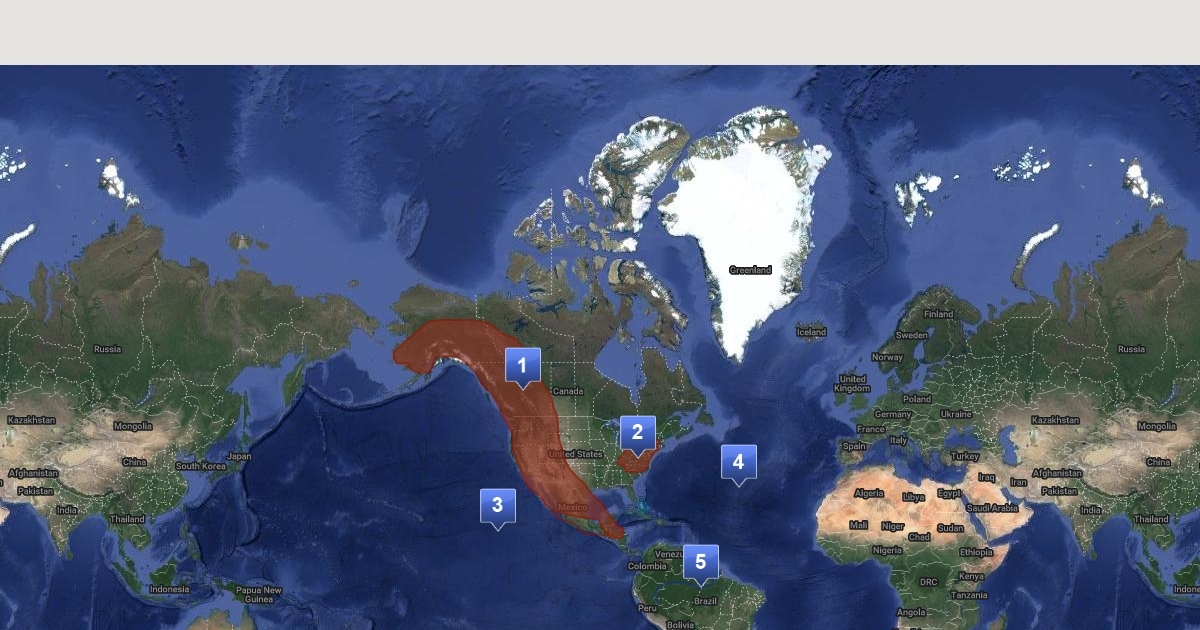 mapa de sociales : Scribble Maps