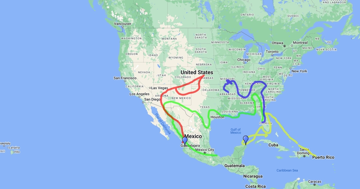 Chapter 2 Lesson 3 : Scribble Maps