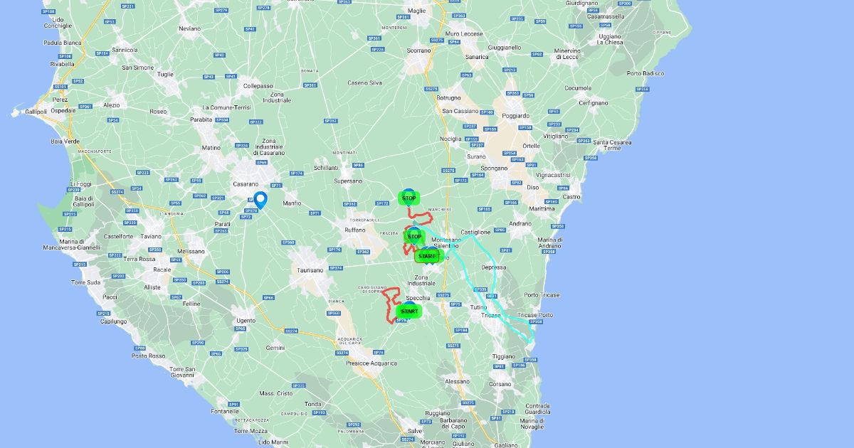 MAPPA RALLY : Scribble Maps
