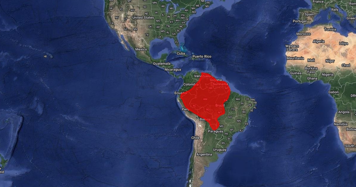 Deforestation in the Amazon rainforest : Scribble Maps