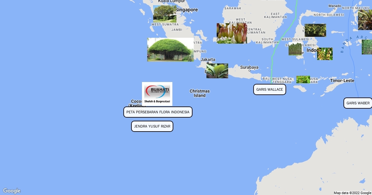 PETA PERSEBARAN FLORA INDONEIA JENDRA YUSUF RIZAR 11 IPS : Scribble Maps