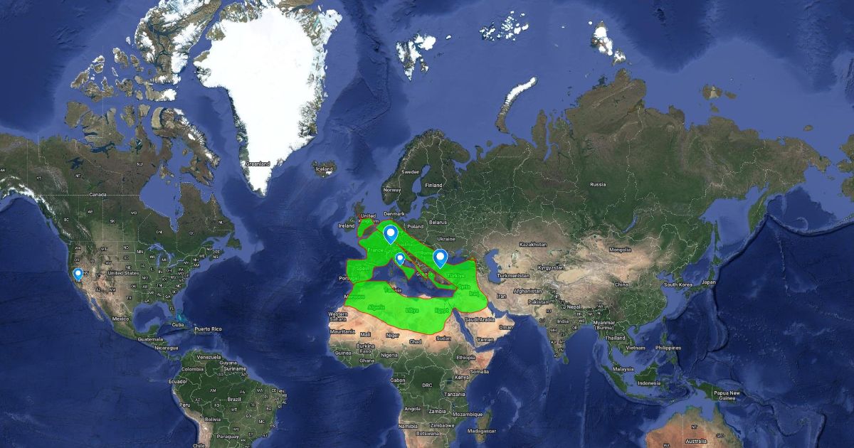 Roman Empire : Scribble Maps