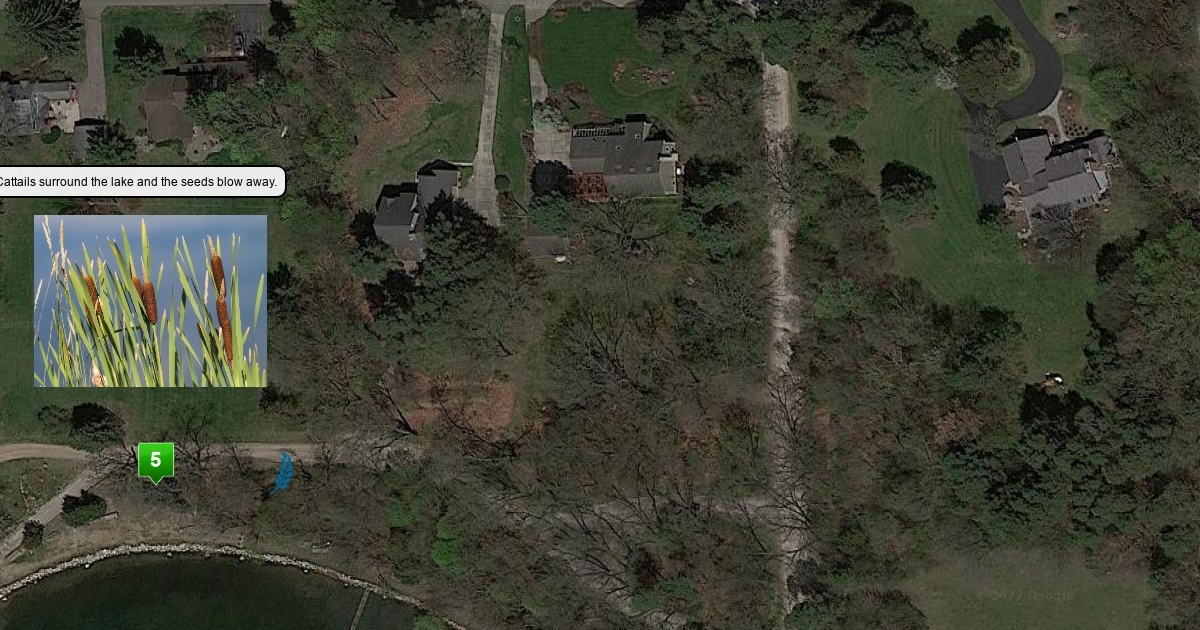 Seed Dispersal Map : Scribble Maps