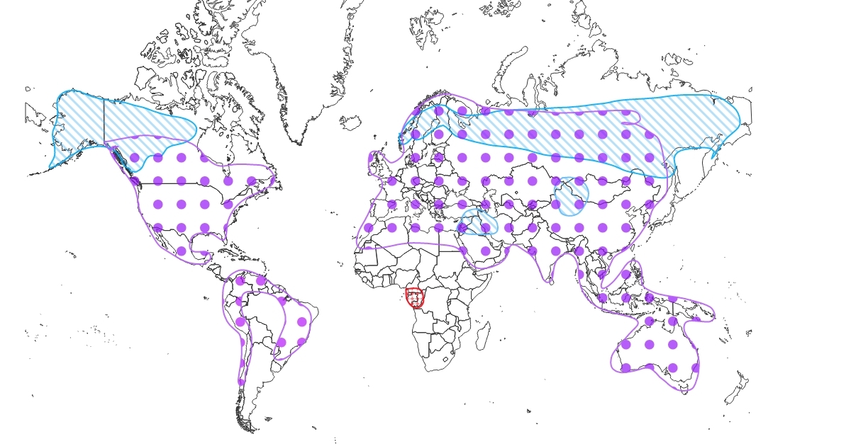 lab thing : Scribble Maps