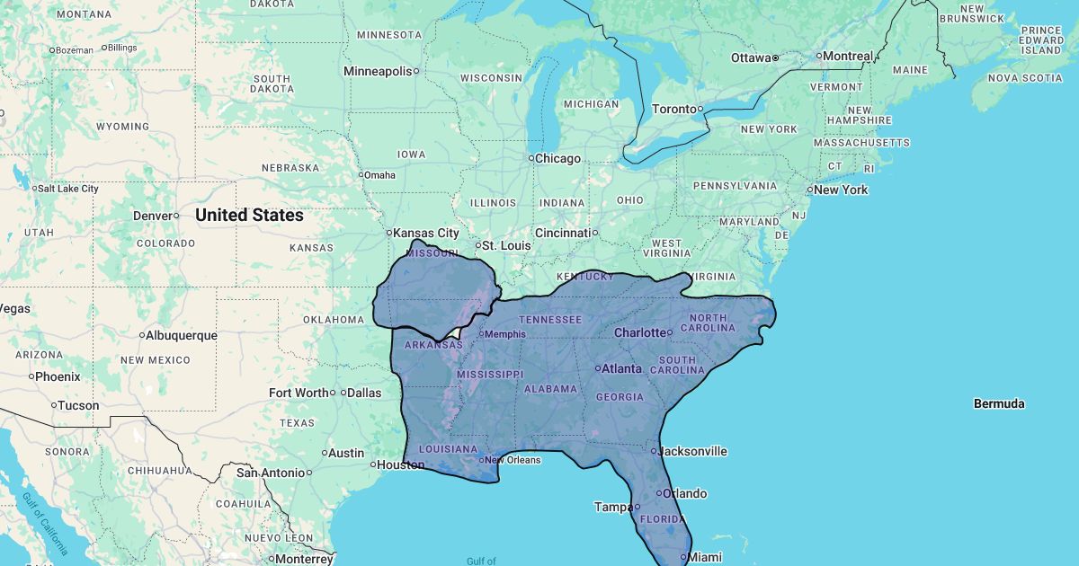 part2 : Scribble Maps