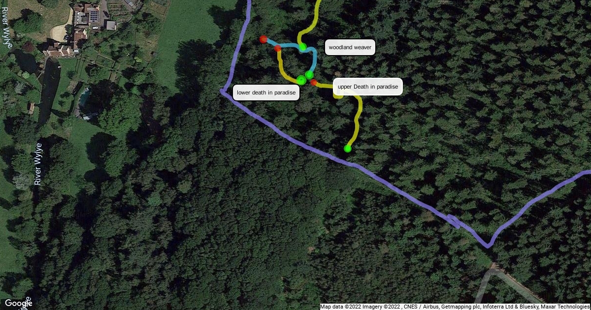 southleigh woods bike park trail map : Scribble Maps