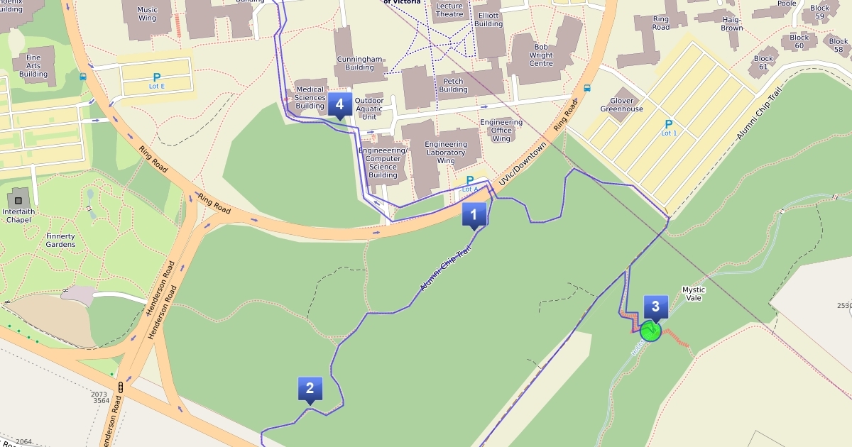 Forest Map : Scribble Maps